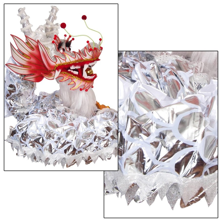 Dragon Costume